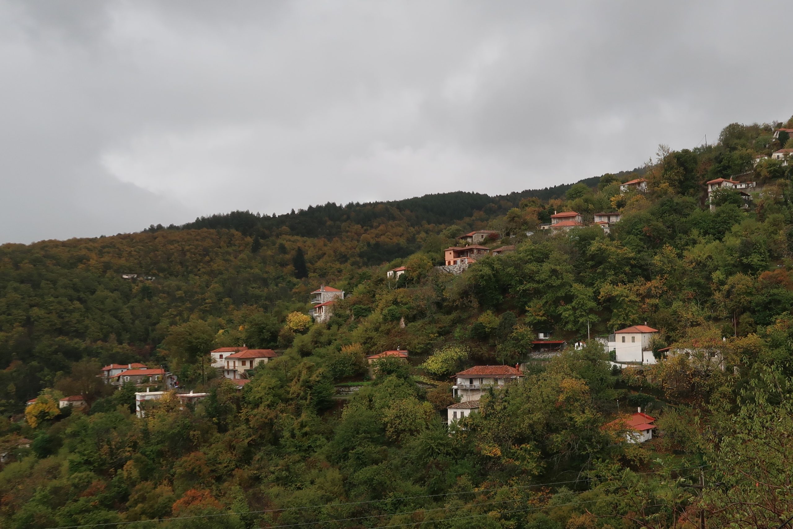 IMG_2655 – ΔΗΜΟΤΙΚΟ ΛΑΙΚΟ ΠΑΝΕΠΙΣΤΗΜΙΟ